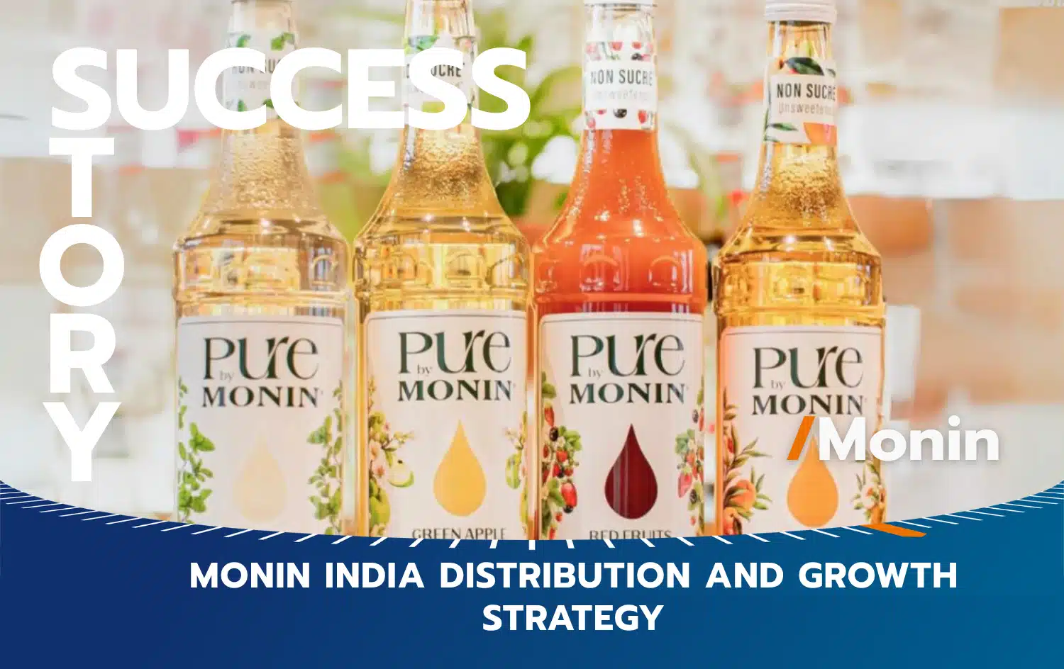 Monin India Distribution and Growth Strategy